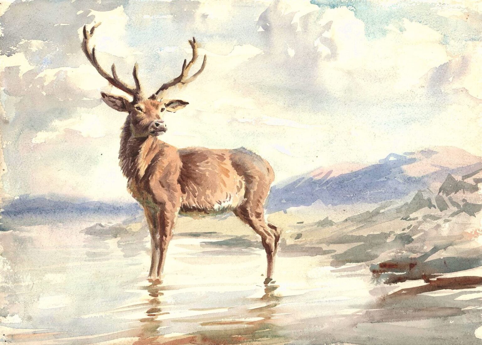 Sheppard, Raymond - Liss Llewellyn